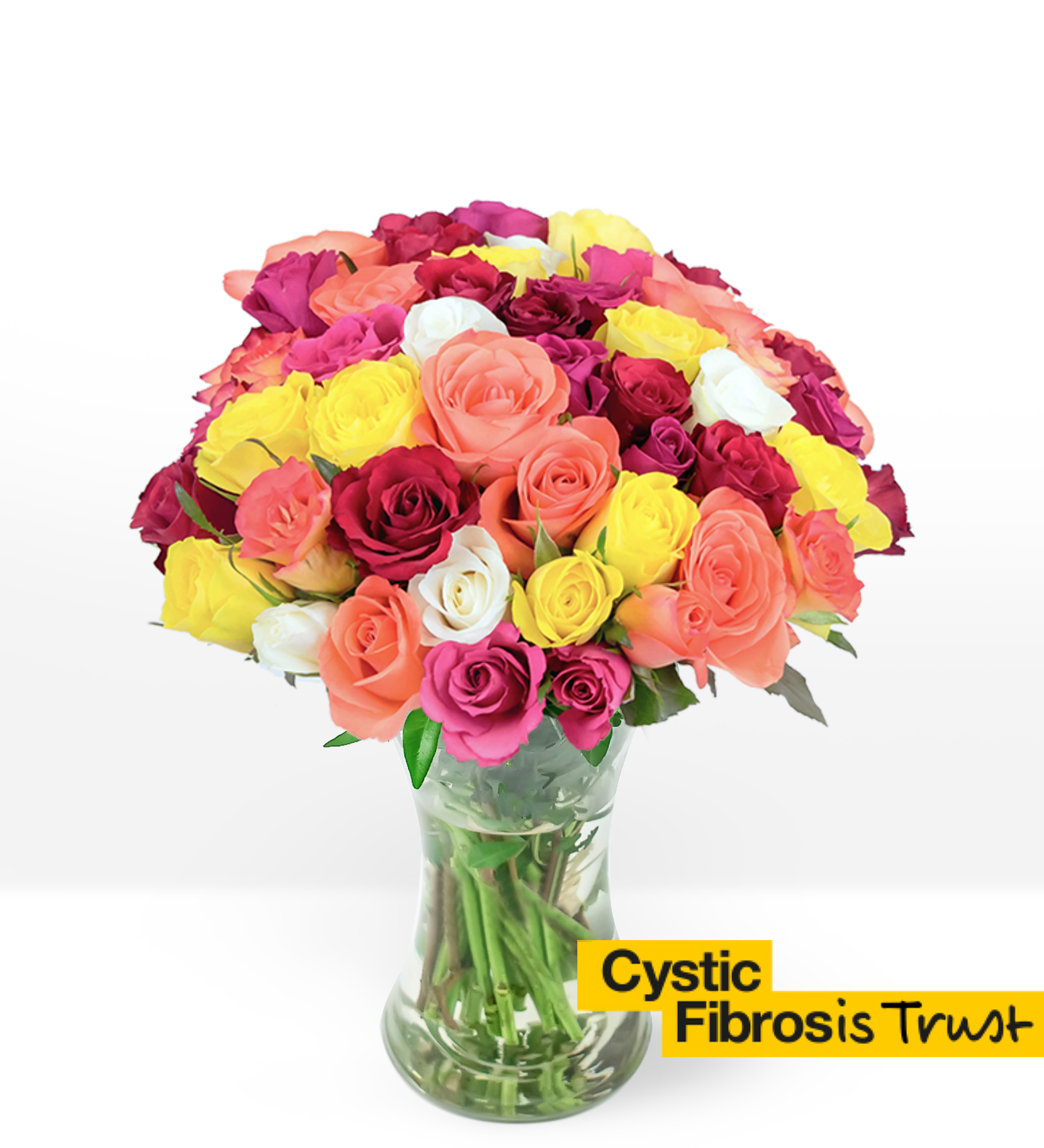 Brave | Prestige Flowers