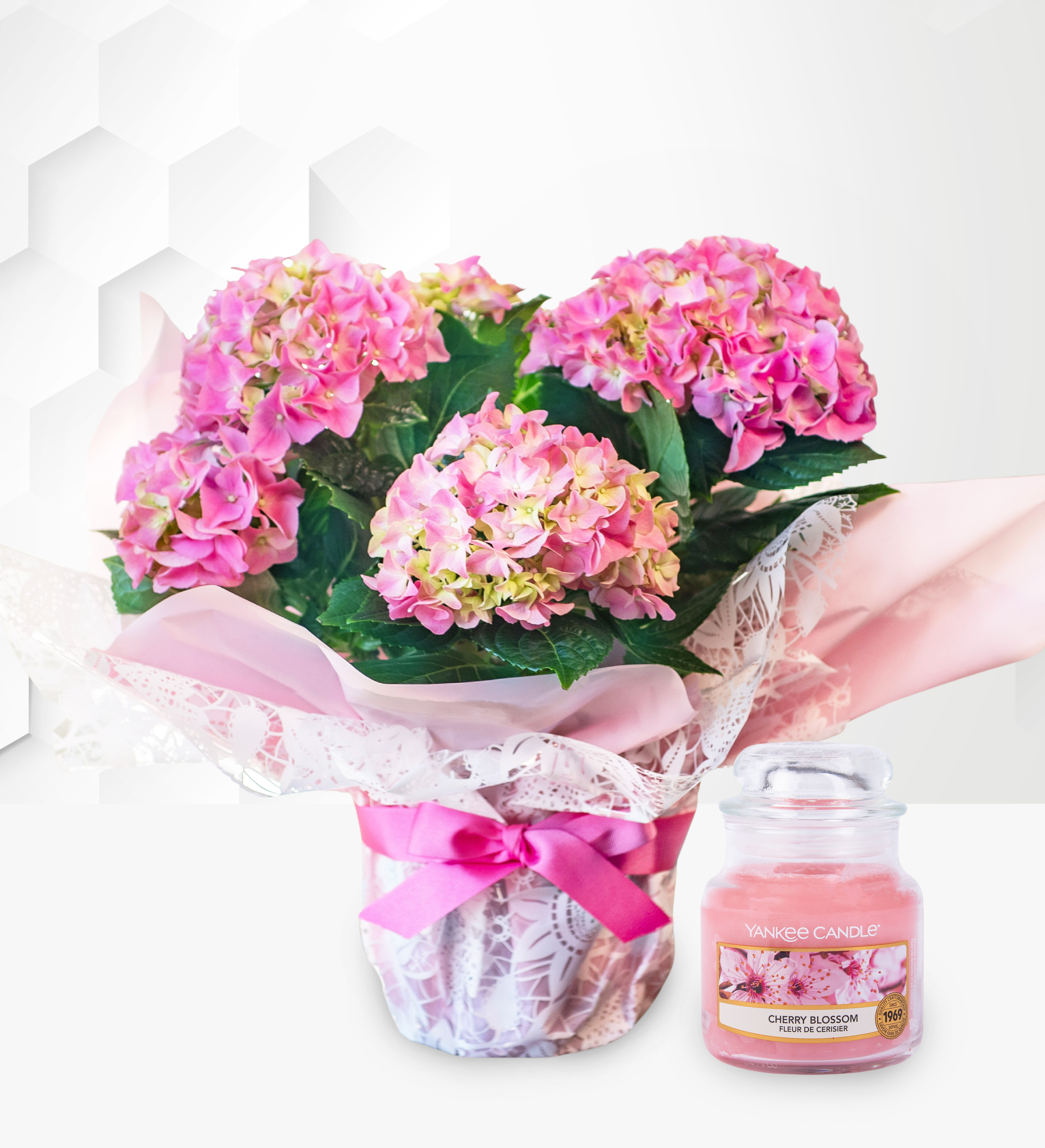 Heavenly Hydrangea Gift | Prestige Flowers