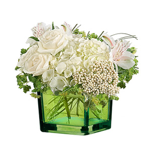 Pure | Prestige Flowers
