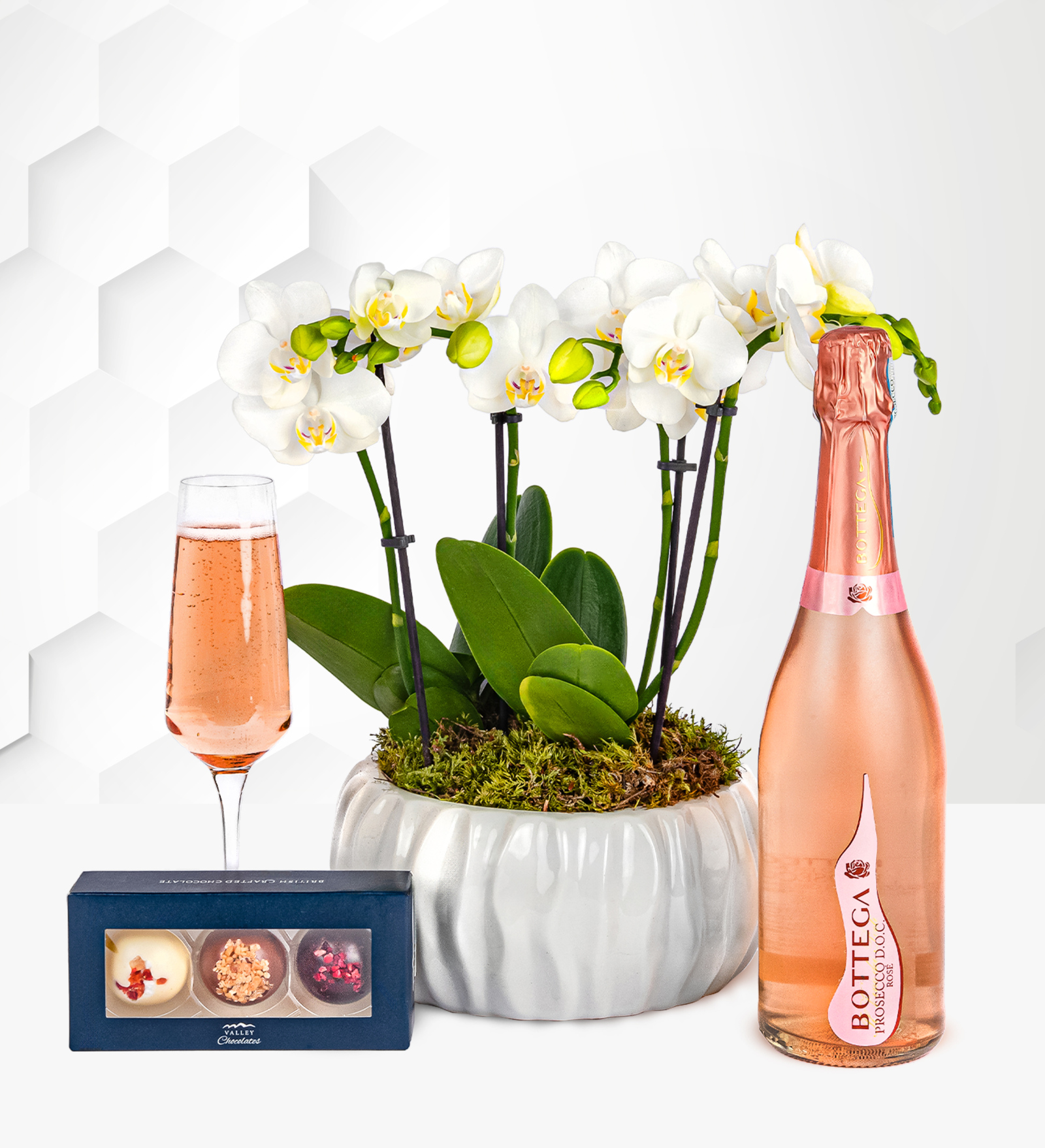 Moonlit Orchid Gift | Prestige Flowers
