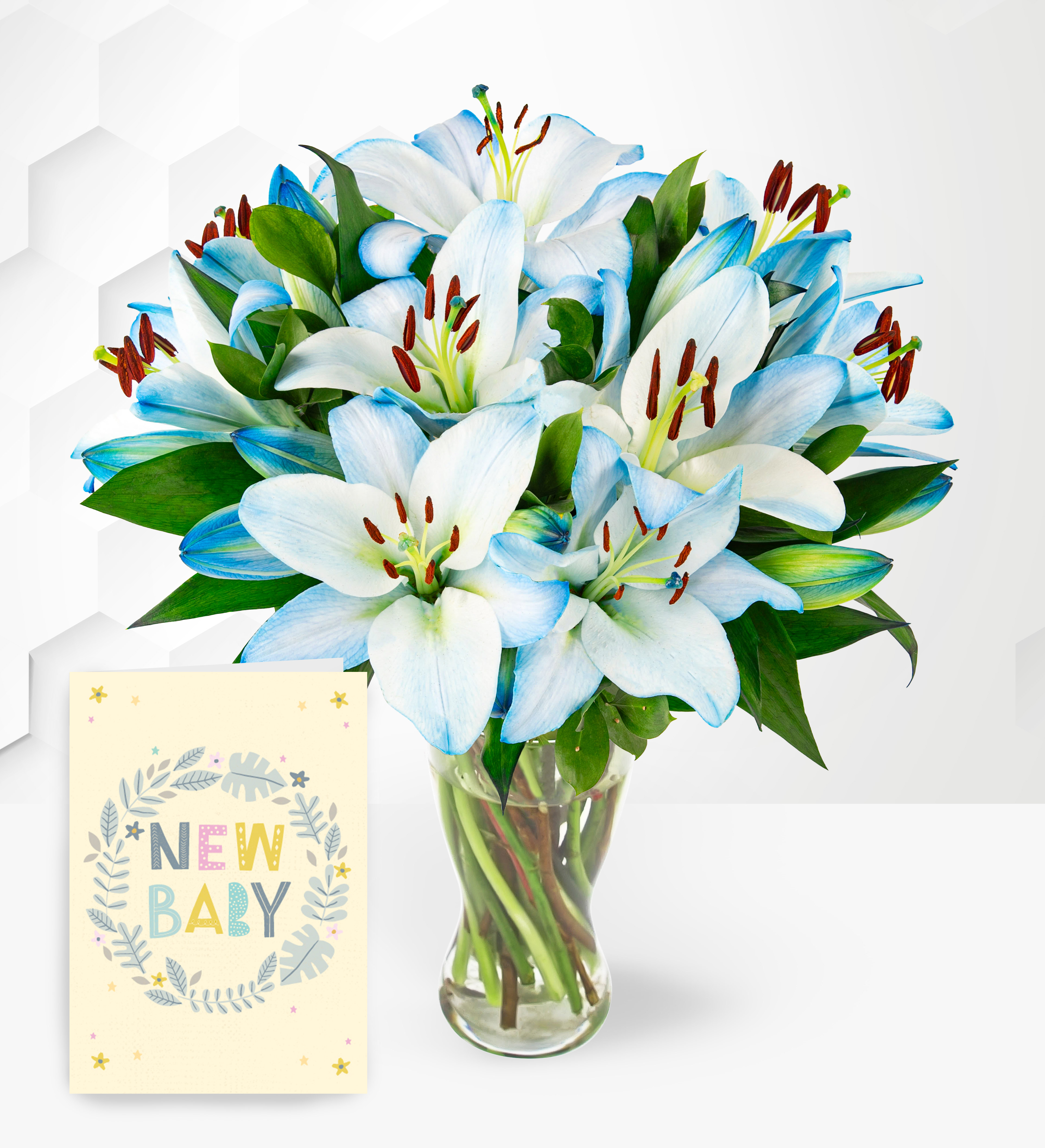 Pictures Of Lilies Poor Knights Lily: A Stunning, Yet Undervalued, New