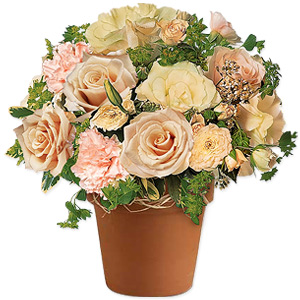 Pink Blush (pottery vase included) | Prestige Flowers