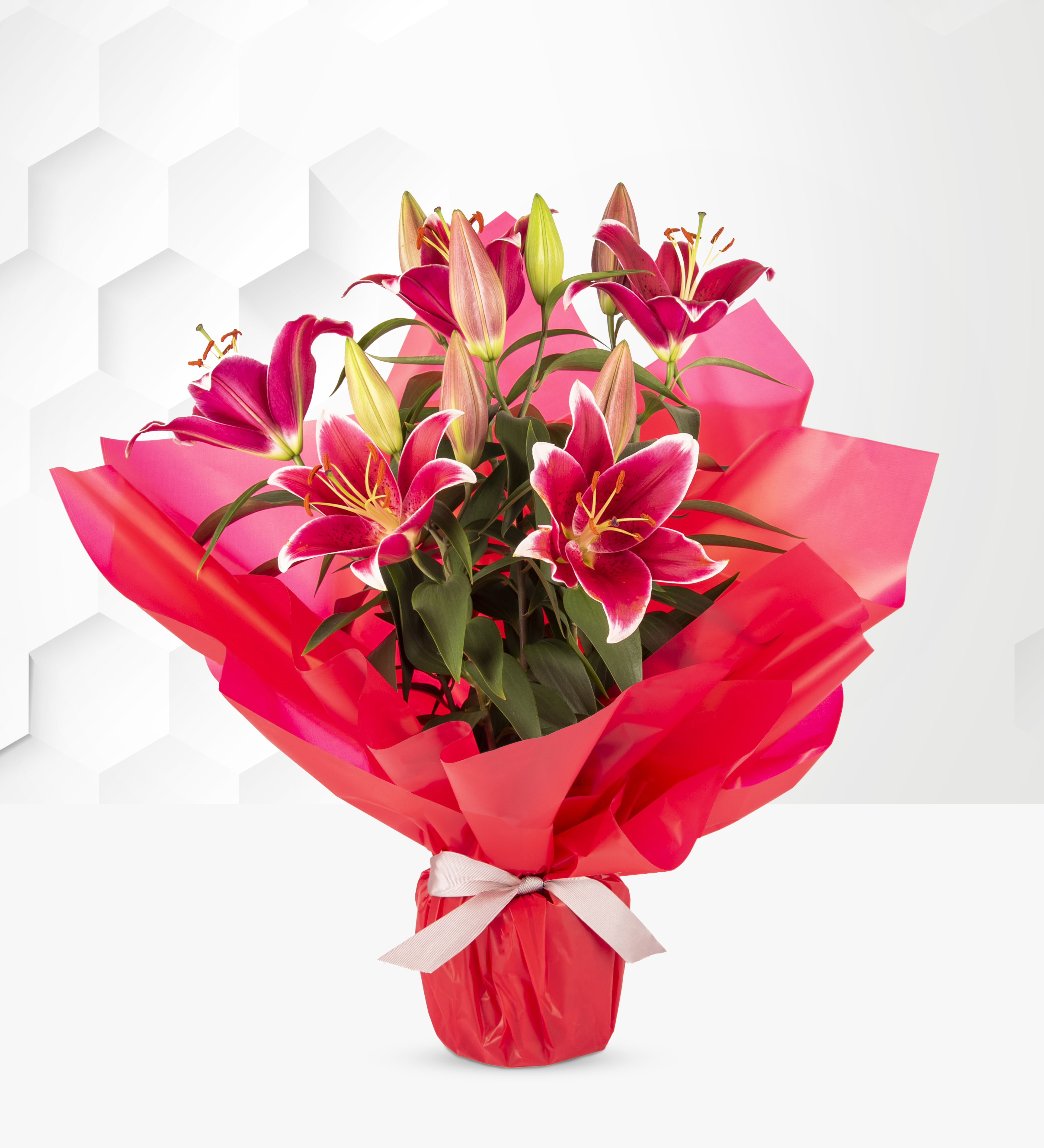 Gift Wrapped Red Lily | Prestige Flowers