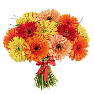Gleeful Gerbaras | Prestige Flowers
