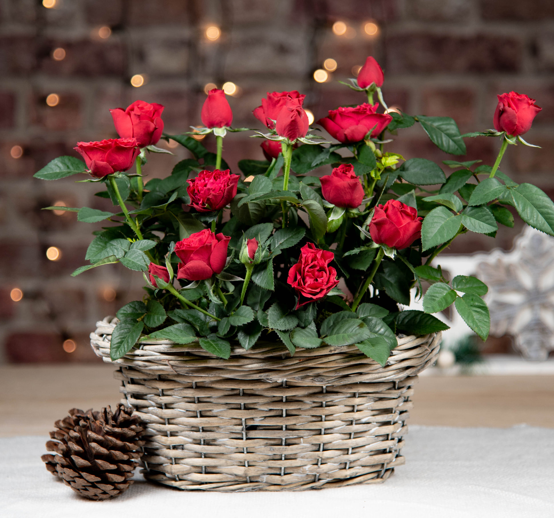 Christmas Red Rose Duo | Prestige Flowers