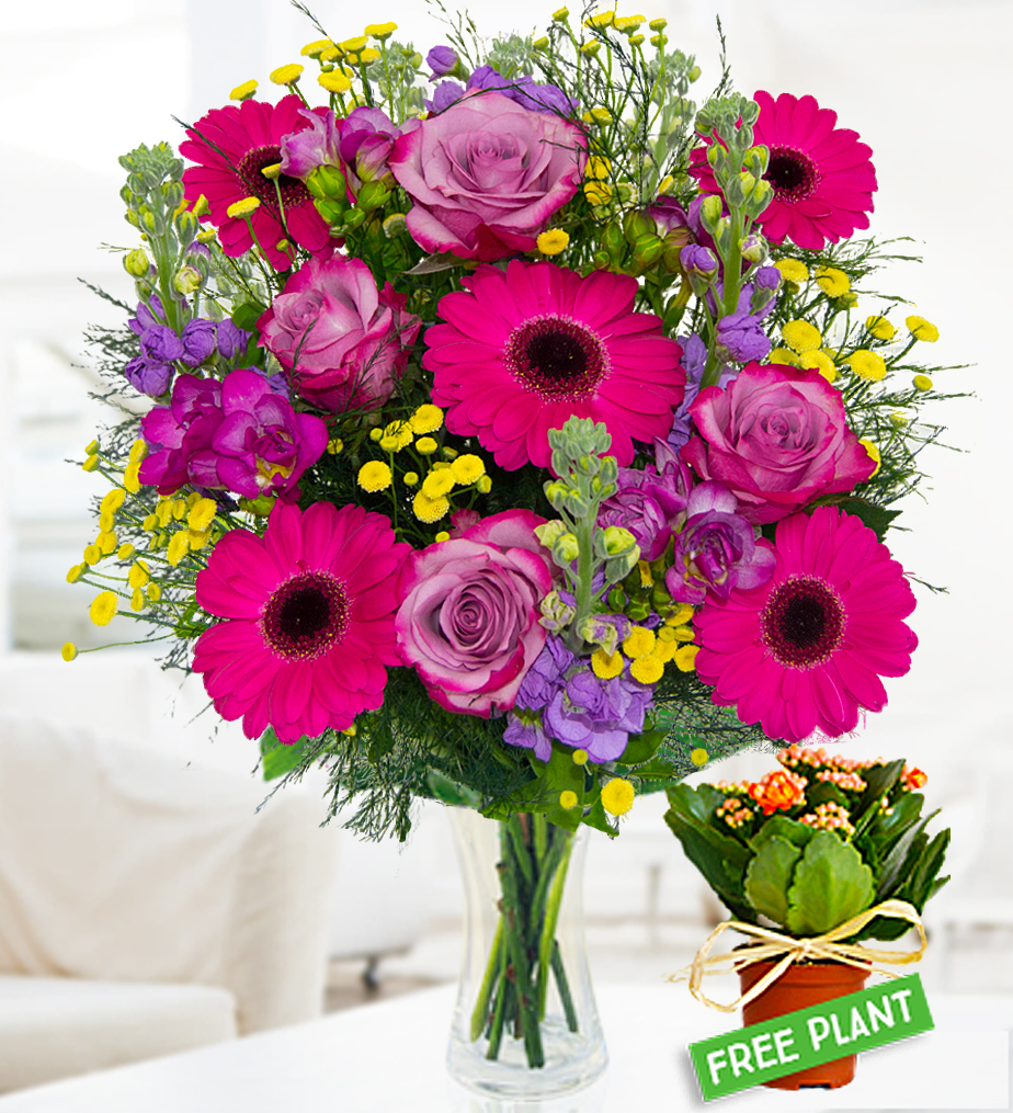 Cerise Celebration | Prestige Flowers