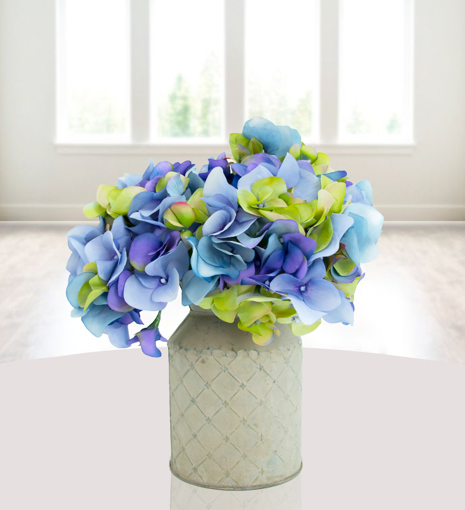 Hydrangea Charm | Prestige Flowers