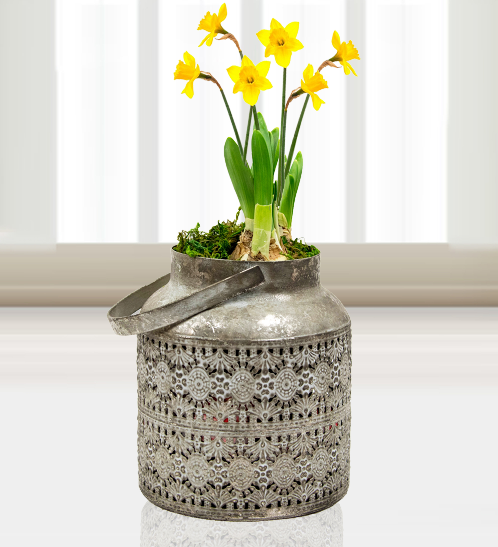 Mum's Daffodils | Prestige Flowers