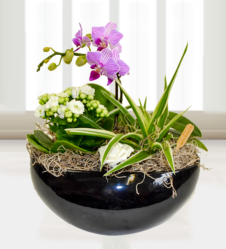 Opulent Tranquility | Prestige Flowers