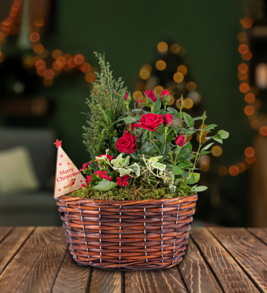 Traditional Christmas Basket | Prestige Flowers