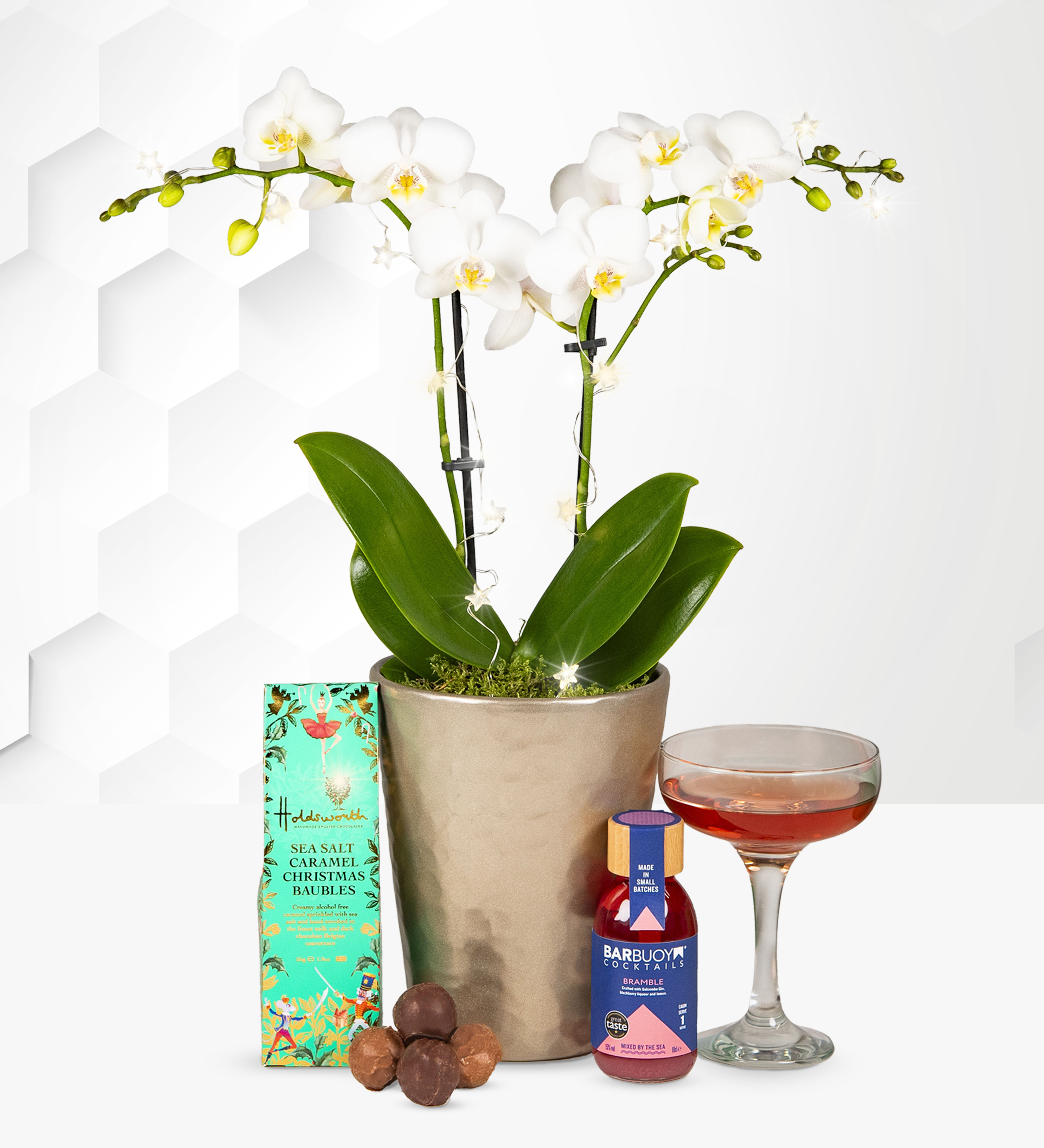 Opulent Orchid Gift | Prestige Flowers