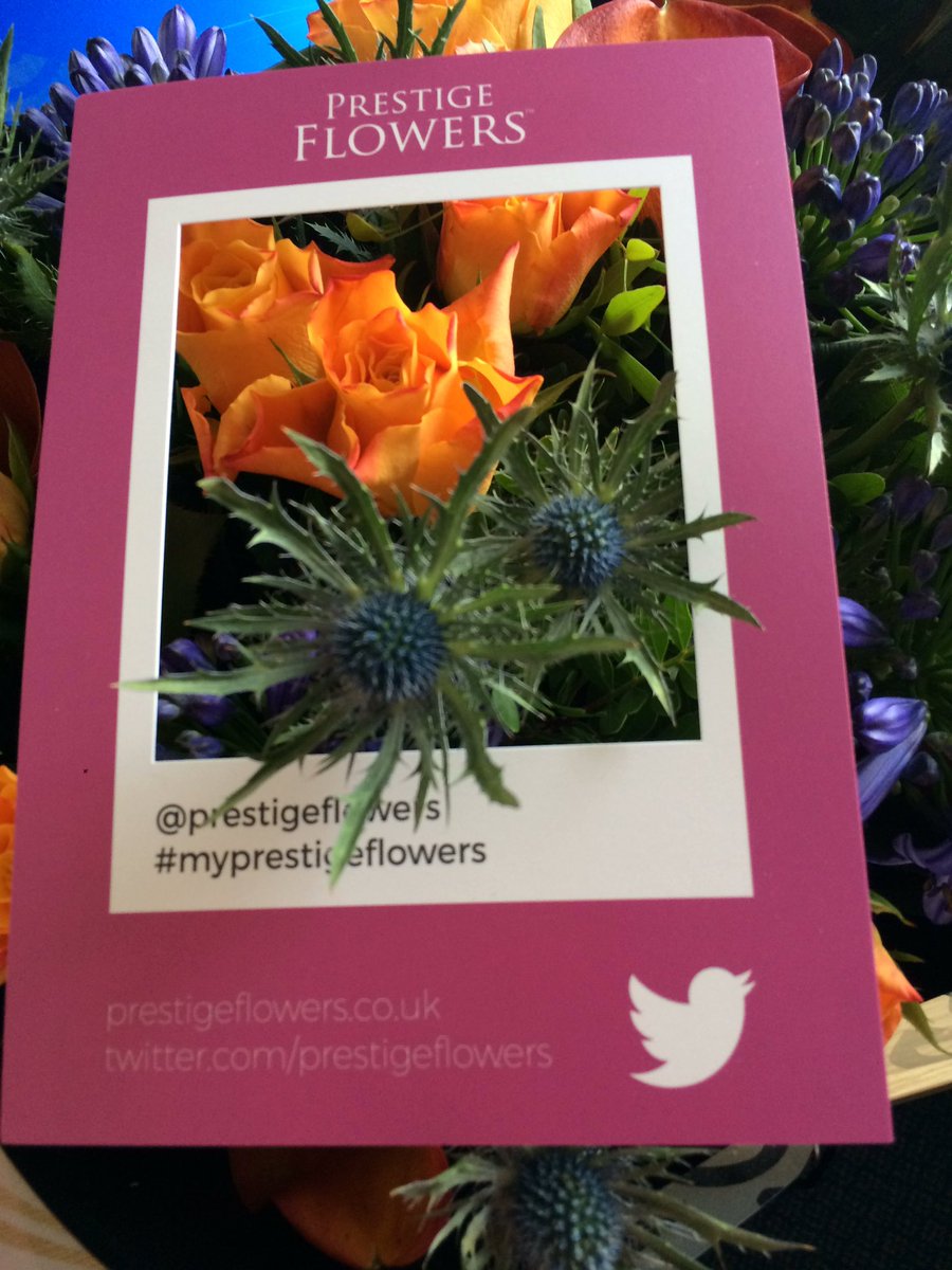 My Prestige Flowers Campaign | Prestige Flowers