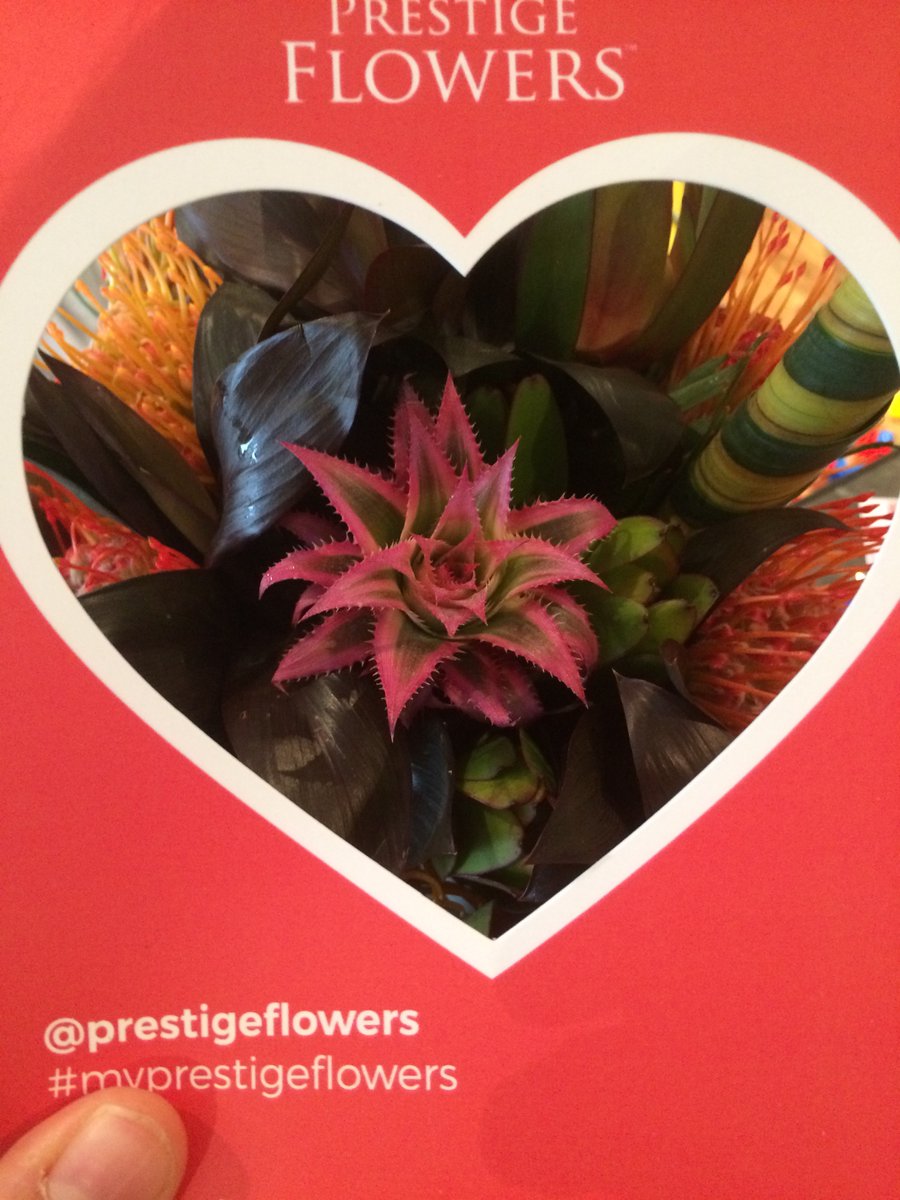 My Prestige Flowers Campaign | Prestige Flowers