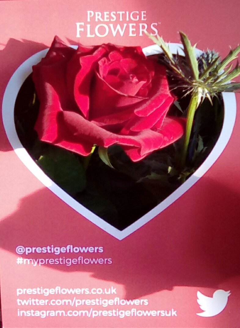 My Prestige Flowers Campaign | Prestige Flowers